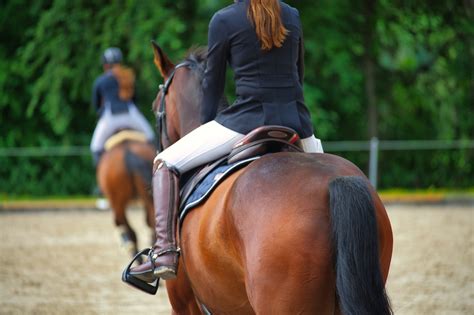 100000 Free Girl Riding Horse And Horse Images Pixabay