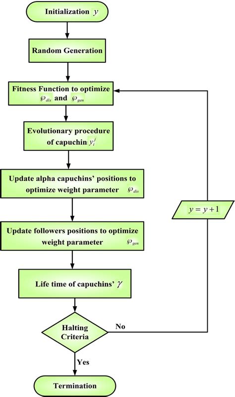 Flowchart Of Capuchin Search Algorithm For Optimizing Dccgan