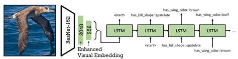 Architecture Of Our Weakly Supervised Captioner Download Scientific