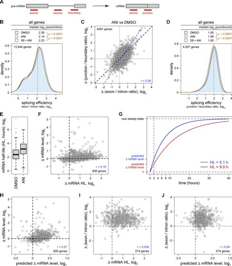 Assessment Of Global Splicing Efficiency By RNA Seq A Schematic Download Scientific Diagram