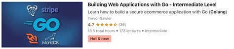 my top 5 resources for learning golang beginner to advanced