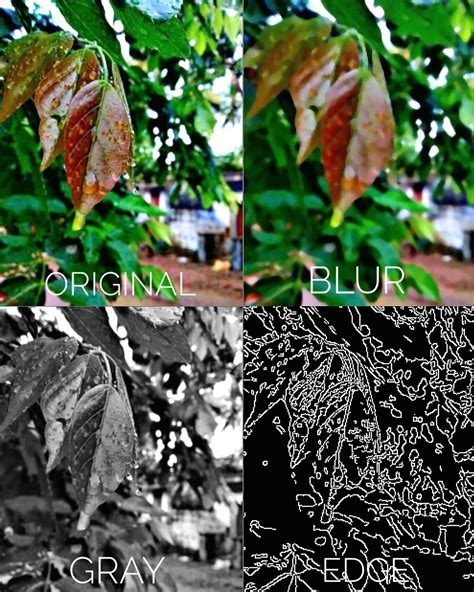 Sivasubramanian M On Linkedin Imageprocessing Edgedetection Grayscale Medianblur Opencv