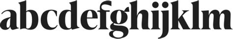 hilsfiger regular otf 400 font serif classic what font is