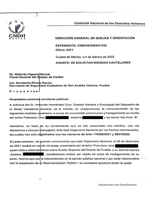 Solicitud De Medidas Cautelares Pdf