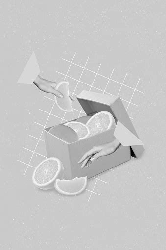 검은 색 흰색 감마 손의 수직 콜라주 이미지는 터치 열린 상자 주황색 과일 조각이 드로잉 배경에 고립 된 상태로 유지합니다 0명에 대한 스톡 사진 및 기타 이미지 Istock