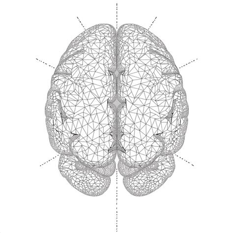 Premium Vector Top Down View Of A Brain As Wireframe Representing A