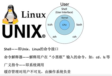 操作系统核心概念详解 Csdn博客
