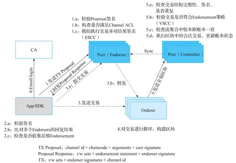 Hyperledger Fabric 架构概览 Hyperledger Fabric 架构和二次开发 Csdn博客