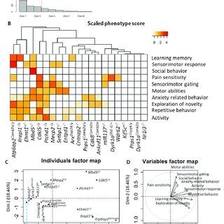 A PCA Percentage Of Explained Variance In Principal Component Download Scientific Diagram