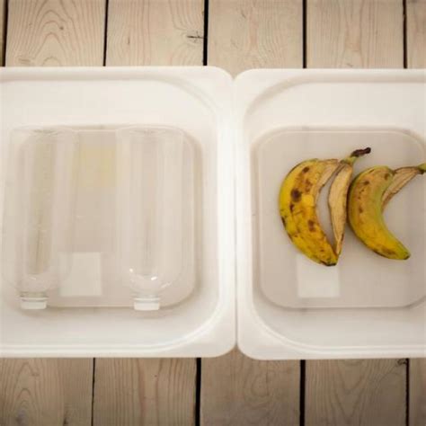 Ggg Object Detection Dataset By Icrl