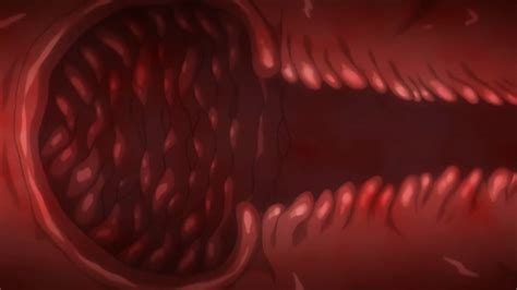 HMV Reika Kurashiki Saimin Seishidou