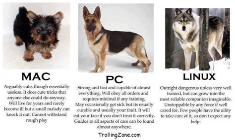 Windows Vs Mac Vs Linux Funny Jokes In Pictures