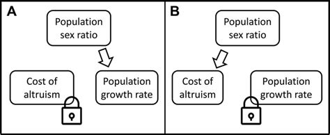 The Population Sex Ratio Population Growth Rate And The Cost Of Download Scientific Diagram