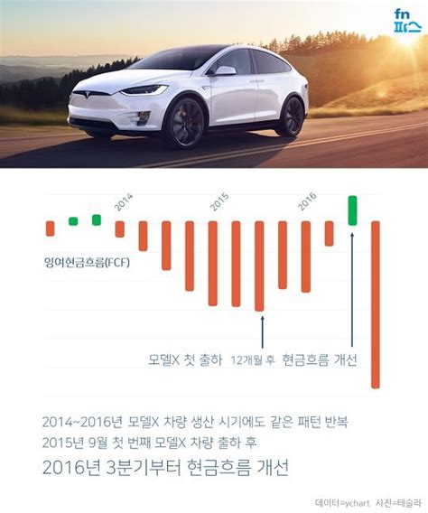 카드뉴스 전기차 대명사 테슬라 위기일까 기회일까 파이낸셜뉴스