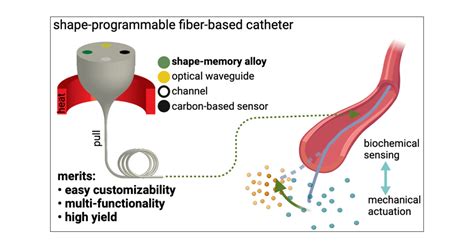 Shape Memory Alloys Enabled Actuatable Fiber Sensors Via The Preform To Fiber Fabrication Acs