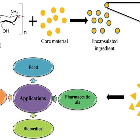 Overview Of Encapsulation Of Chitosan And Its Application Download Scientific Diagram