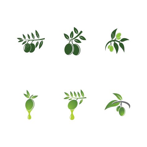 Olive Vector Icon Olives Ecological Isolated Vector Olives Ecological Isolated Png And Vector