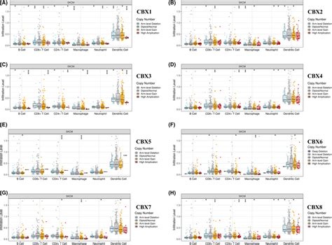 The Correlation Between Copy Number Alteration Of Irfs And Immune Cell