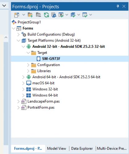Cannot Run Sample Programs On Android Cross Platform Delphi PRAXiS En