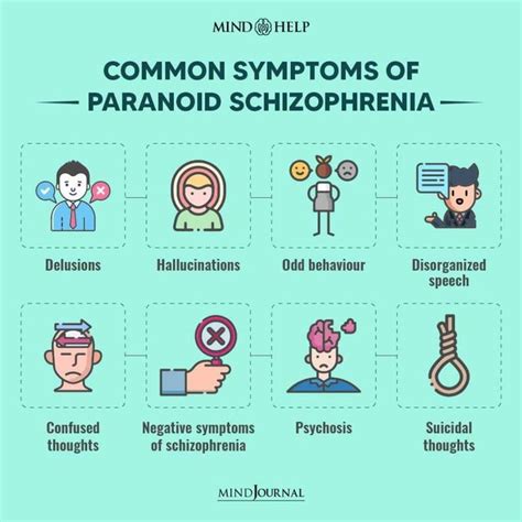 List Of Signs Of Paranoid Schizophrenia At Patrick Bautista Blog