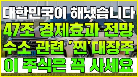 수소 관련주 주가 전망 대한민국 수소 47조원 경제효과 전망 찐 대장주 이 주식은 꼭 사세요 Youtube