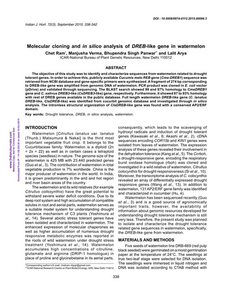 Pdf Molecular Cloning And In Silico Analysis Of Dreb Like Gene In Watermelon