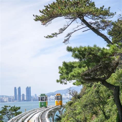 부산 해운대 놀거리ㅣ 해운대 블루라인파크 스카이캡슐해변열차 추천 미포 ️청사포 네이버 블로그