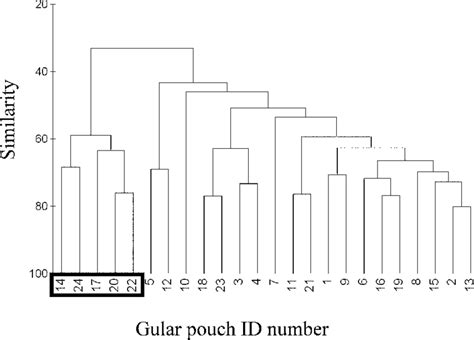 cluster diagram based on the bray curtis similarity index and