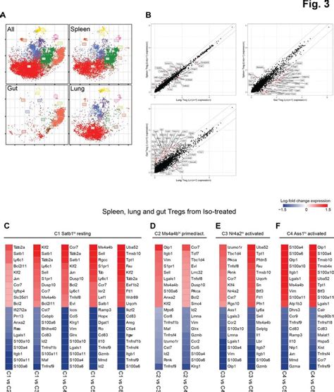 Heterogeneous Landscape Of Treg Cell States Defined Between The Spleen
