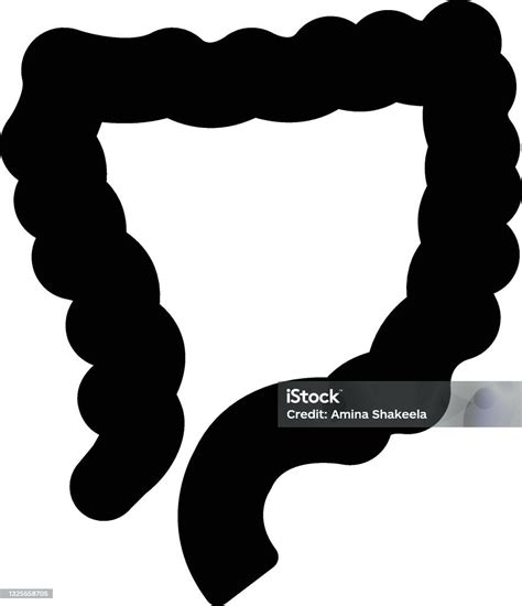 Appendix Stock Illustration Download Image Now Anatomy Appendix Biology Istock