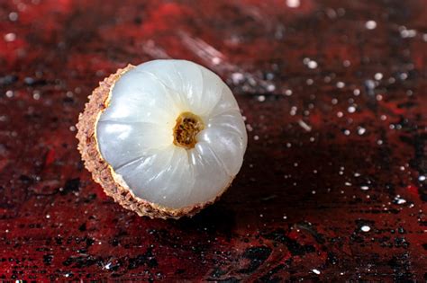 복사 공간이있는 붉은 배경에 고립 된 껍질을 벗긴 열매 또는 낙타의 클로즈업 0명에 대한 스톡 사진 및 기타 이미지 0명 갈색 건강한 생활방식 Istock