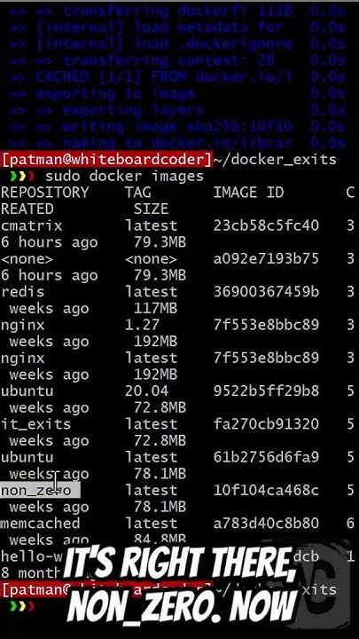 Docker Build That Exits With Non Zero Coding Docker Dockertutorial