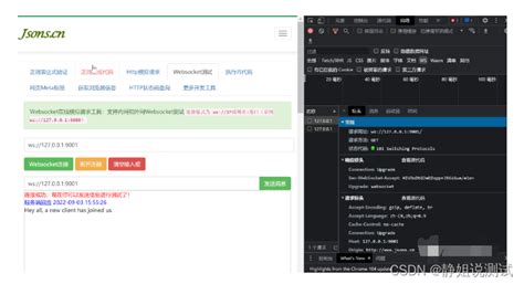 Websocket 接口测试：打通前端与后端的通信之路！前端websocket测试 Csdn博客