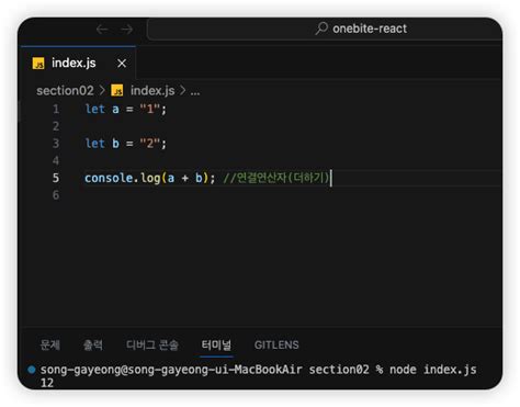 한입 크기로 잘라먹는 리액트 react js section2 자바스크립트 기본 연산자