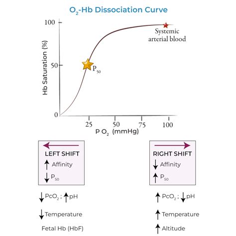 Physiology Glossary Oxygen Hemoglobin Dissociation Curve Ditki Medical And Biological Sciences