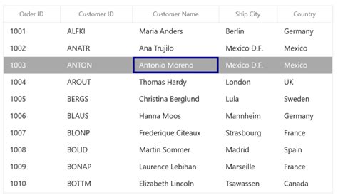 Personalize Your Winui Datagrid Quick And Simple Customization Techniques