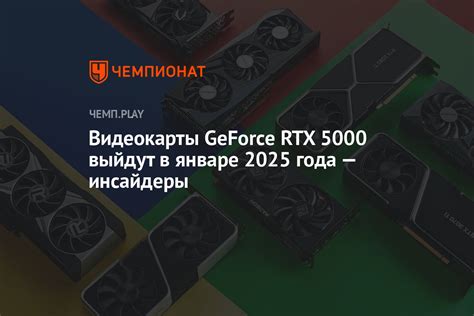 Видеокарты GeForce RTX 5000 выйдут в январе 2025 года — инсайдеры ...