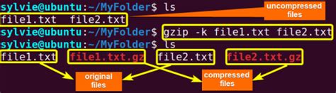 the “gzip” command in linux [9 practical examples]