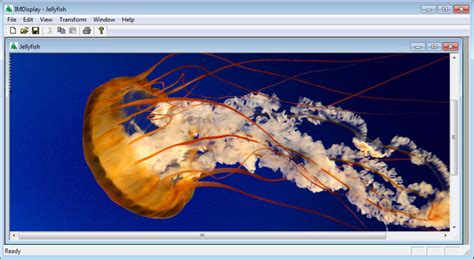 Graphicsmagick Download Graphicsmagick Download