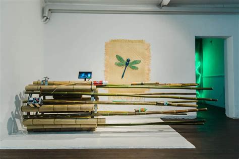 Portfolio Monika Czy Yk Contemporary Lynx Print And Online Magazine On Art Visual Culture