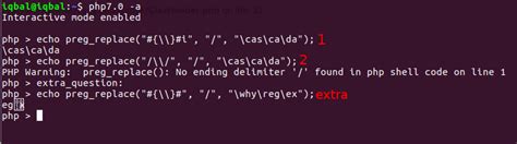 php preg replace not working as expected replacing backslashes