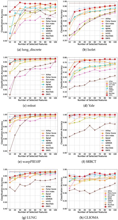 Dual Regularized Feature Selection For Class Specific And Global Feature Associations