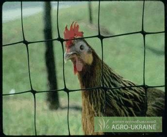 Продам/купить сетка вольерная, сетка пластиковая - Киев — Agro-Ukraine