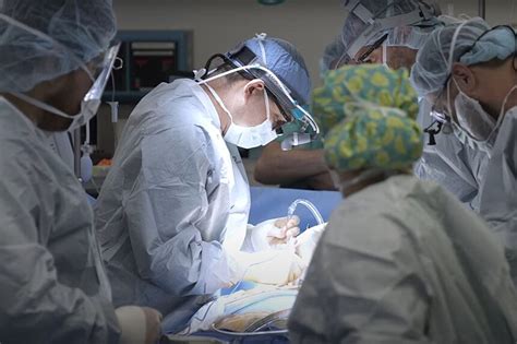 Ross Procedure Aortic Valve Repair Uf Health Jacksonville