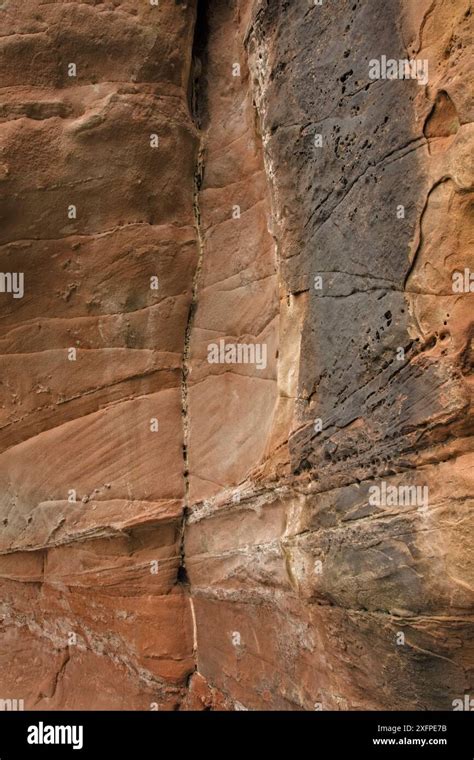 New Red Sandstone Cross Bedded Sandstone From The Triassic