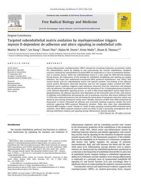 Pdf Targeted Subendothelial Matrix Oxidation By Myeloperoxidase