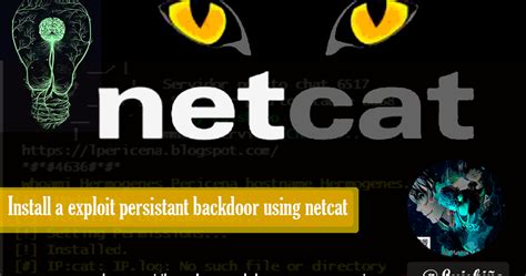 Install A Exploit Persistant Backdoor Using Netcat