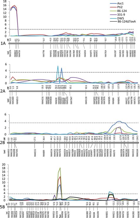 Multiple Interval Regression Maps Of Chromosomes 1a 2a 2b And 5b