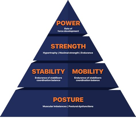 The Building Blocks Of Chiro Physio Care Spinalive