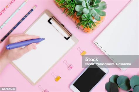 분홍색 배경에 장관 플랫레이와 손을 작성합니다 학교 2020으로 돌아갑니다 플래너 책 클립 펜 별 바인더 클립학교 배너 텍스트